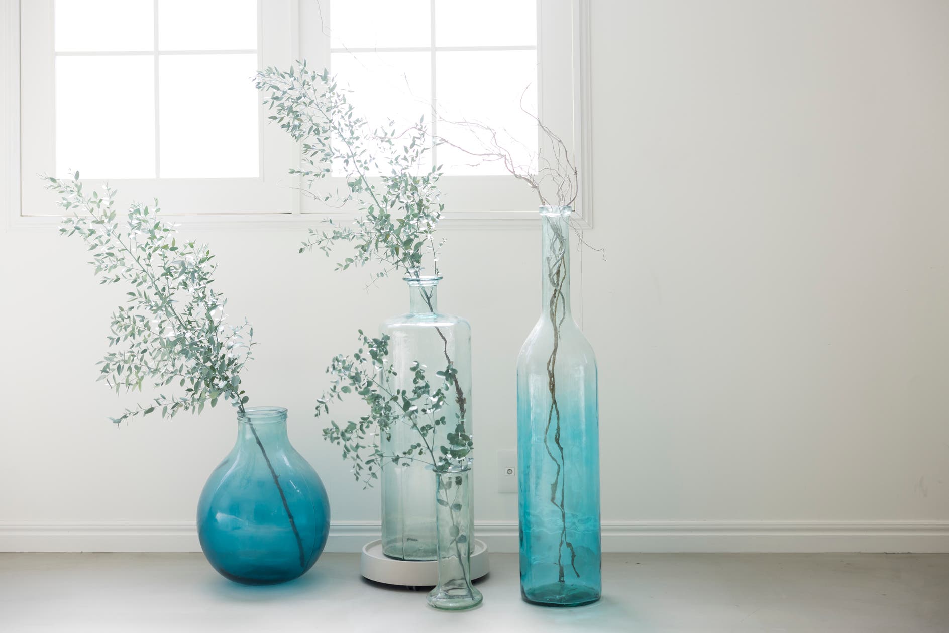 ライフスタイルの撮影に　明るくおしゃれなグリーン豊富なハウススタジオの写真12