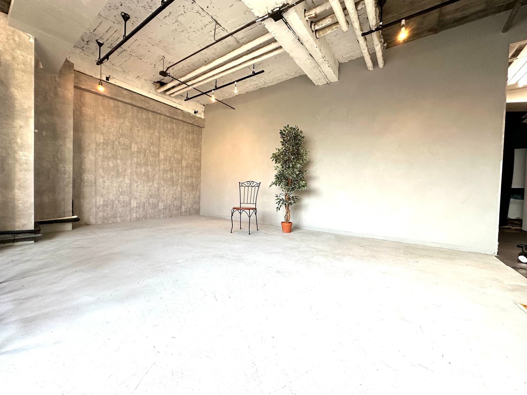 【控室有】モルタル・クンクリート・漆喰壁のある撮影スタジオ/コニカルスヌート/スワッグ/観葉植物/自然光の写真1