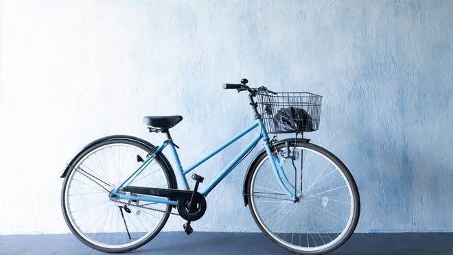 バイクなどの車両や大型犬もOK 自然光で撮れる4mのダーク壁とガルバリウム 大型照明常設の写真6