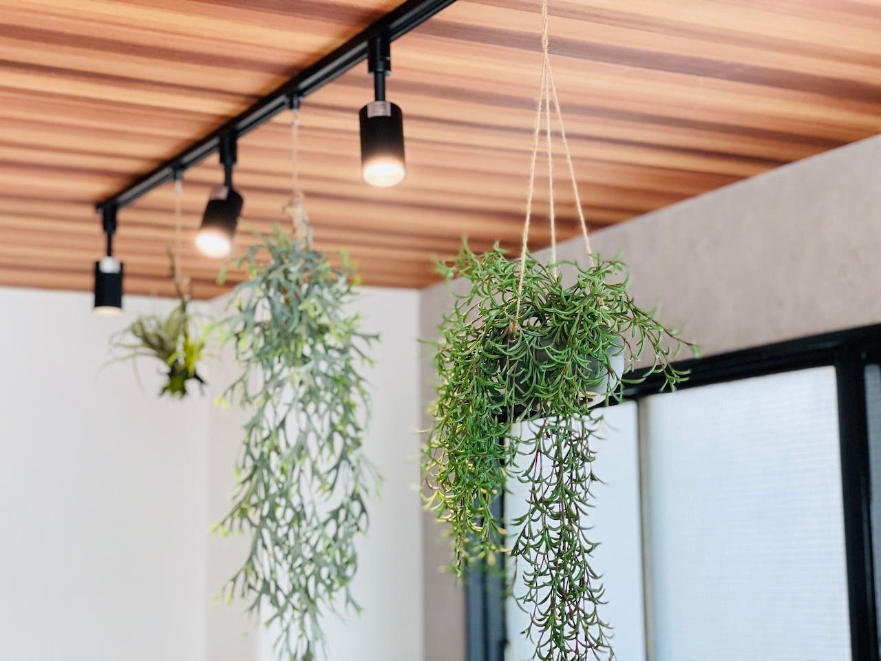 スペモ/忘年会/梅田駅5分/プロジェクター/会議/セミナー/撮影/懇親会/勉強会/イベント/668_グランスター梅田の写真12