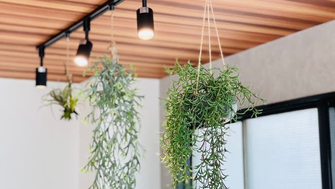 スペモ/忘年会/梅田駅5分/プロジェクター/会議/セミナー/撮影/懇親会/勉強会/イベント/668_グランスター梅田の写真12