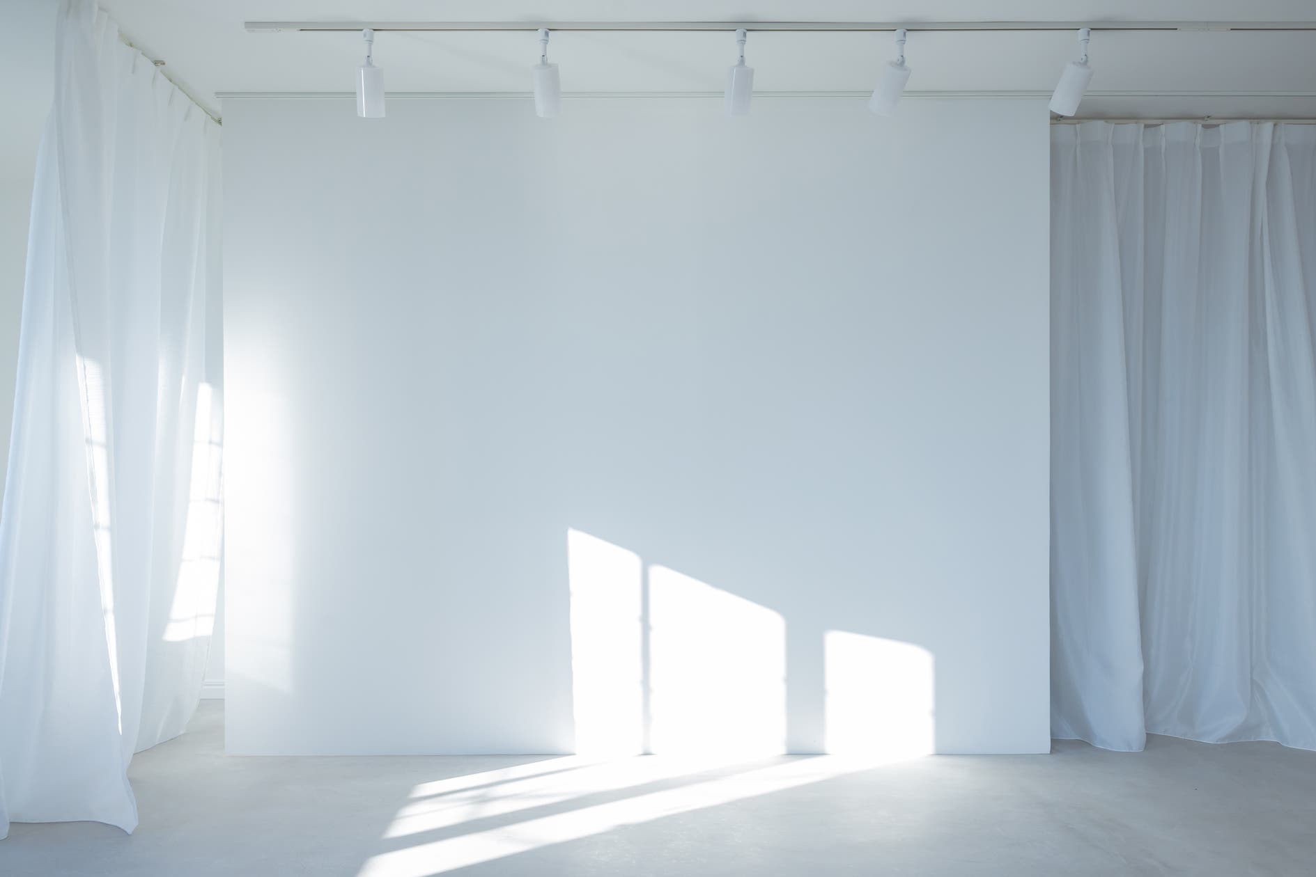 ライフスタイルの撮影に　明るくおしゃれなグリーン豊富なハウススタジオの写真13