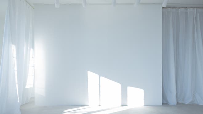 ライフスタイルの撮影に 明るくおしゃれなグリーン豊富なハウススタジオの写真13