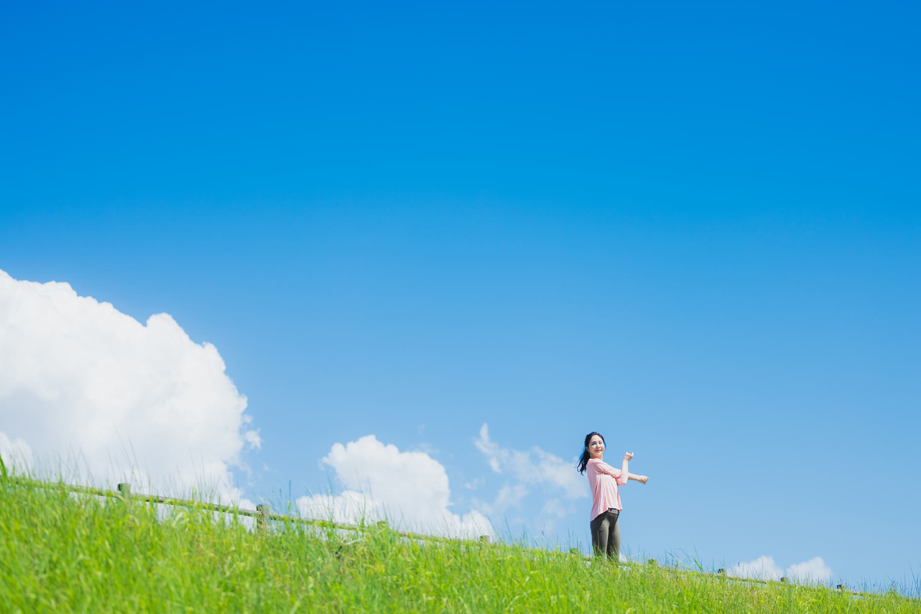 ライフスタイルの撮影に　明るくおしゃれなグリーン豊富なハウススタジオの写真26