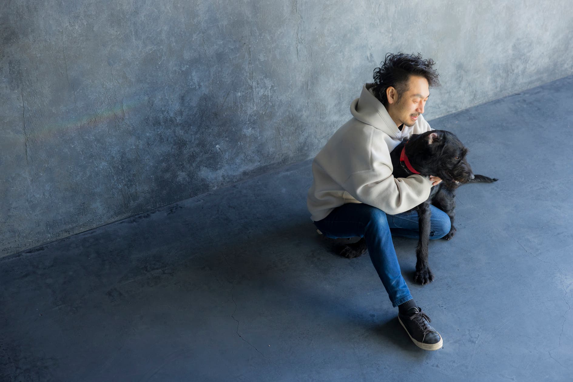 バイクなどの車両や大型犬もOK 自然光で撮れる4mのダーク壁とガルバリウム　大型照明常設の写真6