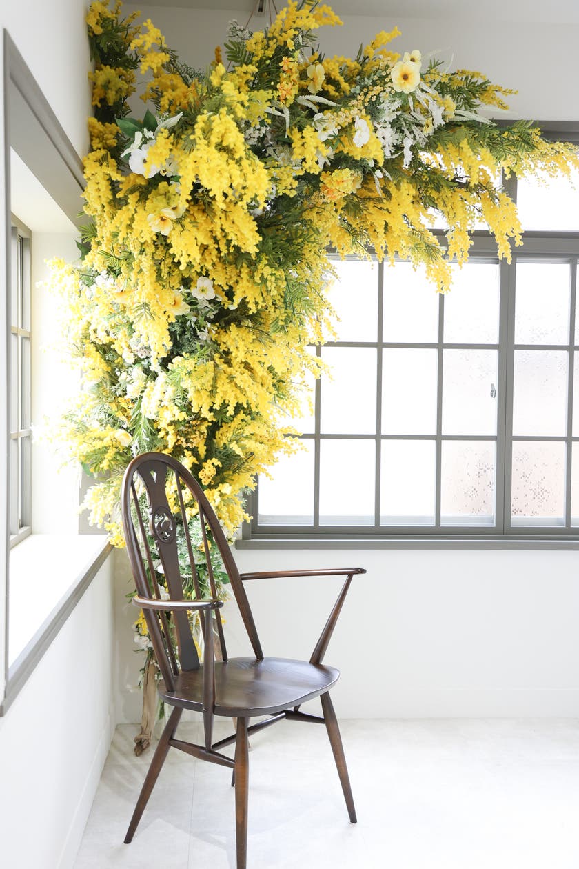 鞍馬口より5分駅近！レンタルフォトスタジオ・レンタルサロン・ヨガ教室・庭園でのお茶会などの写真5