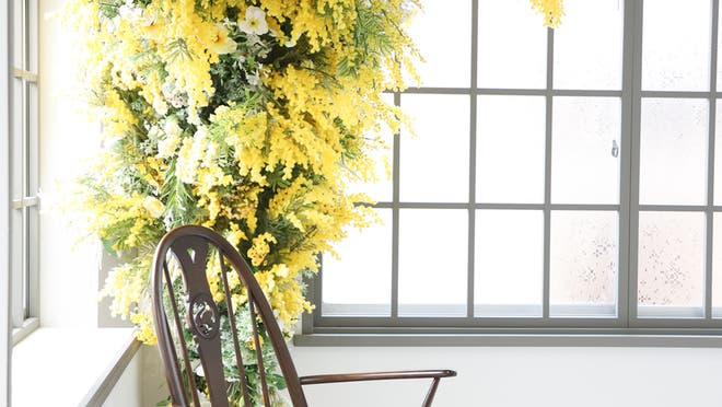 鞍馬口より5分駅近!レンタルフォトスタジオ・レンタルサロン・ヨガ教室・庭園でのお茶会などの写真5