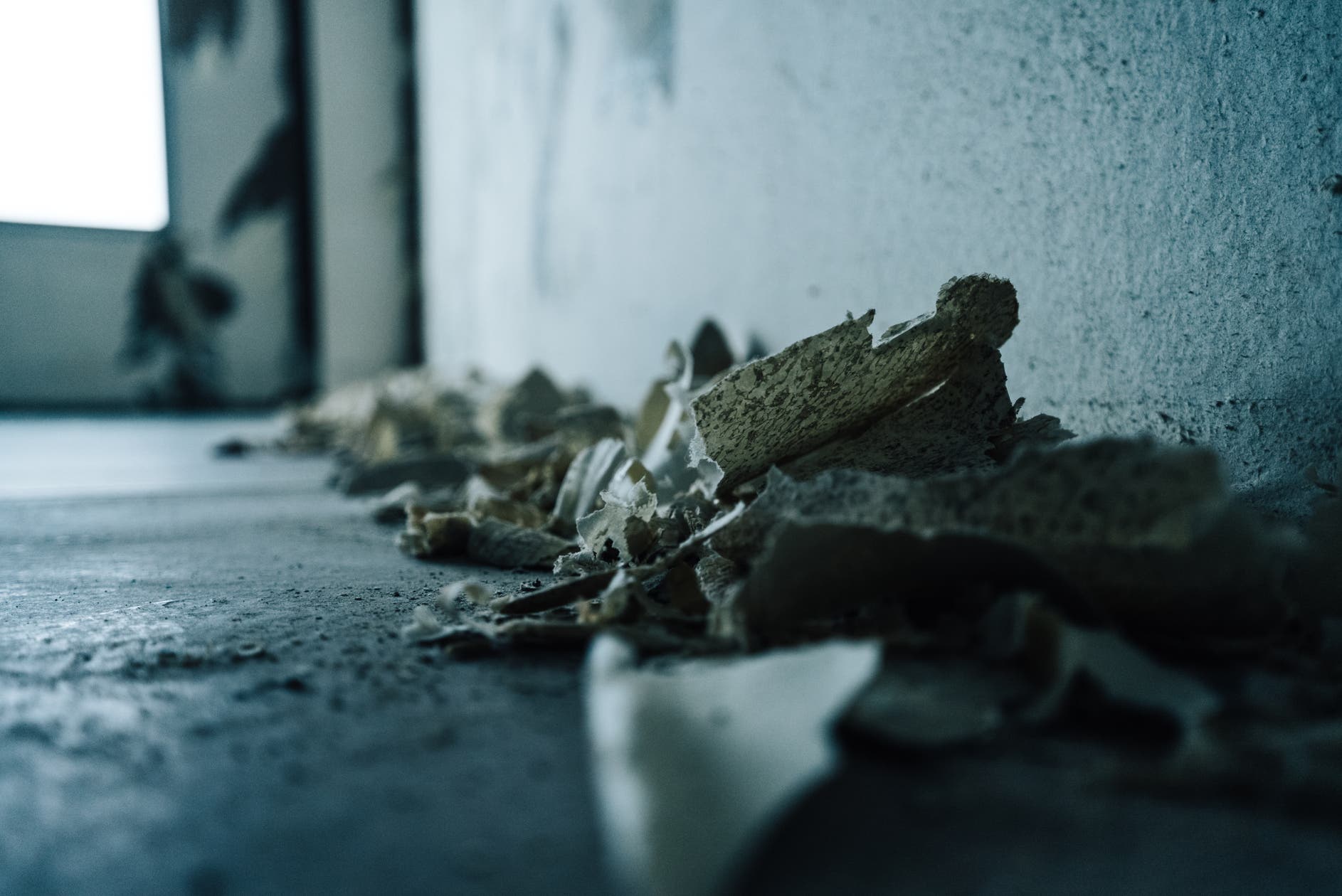 【JR・京王線 吉祥寺駅徒歩3分！】 自然光のたっぷり入る廃墟スタジオの写真5