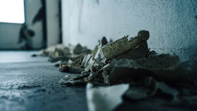 【JR・京王線 吉祥寺駅徒歩3分!】 自然光のたっぷり入る廃墟スタジオの写真5