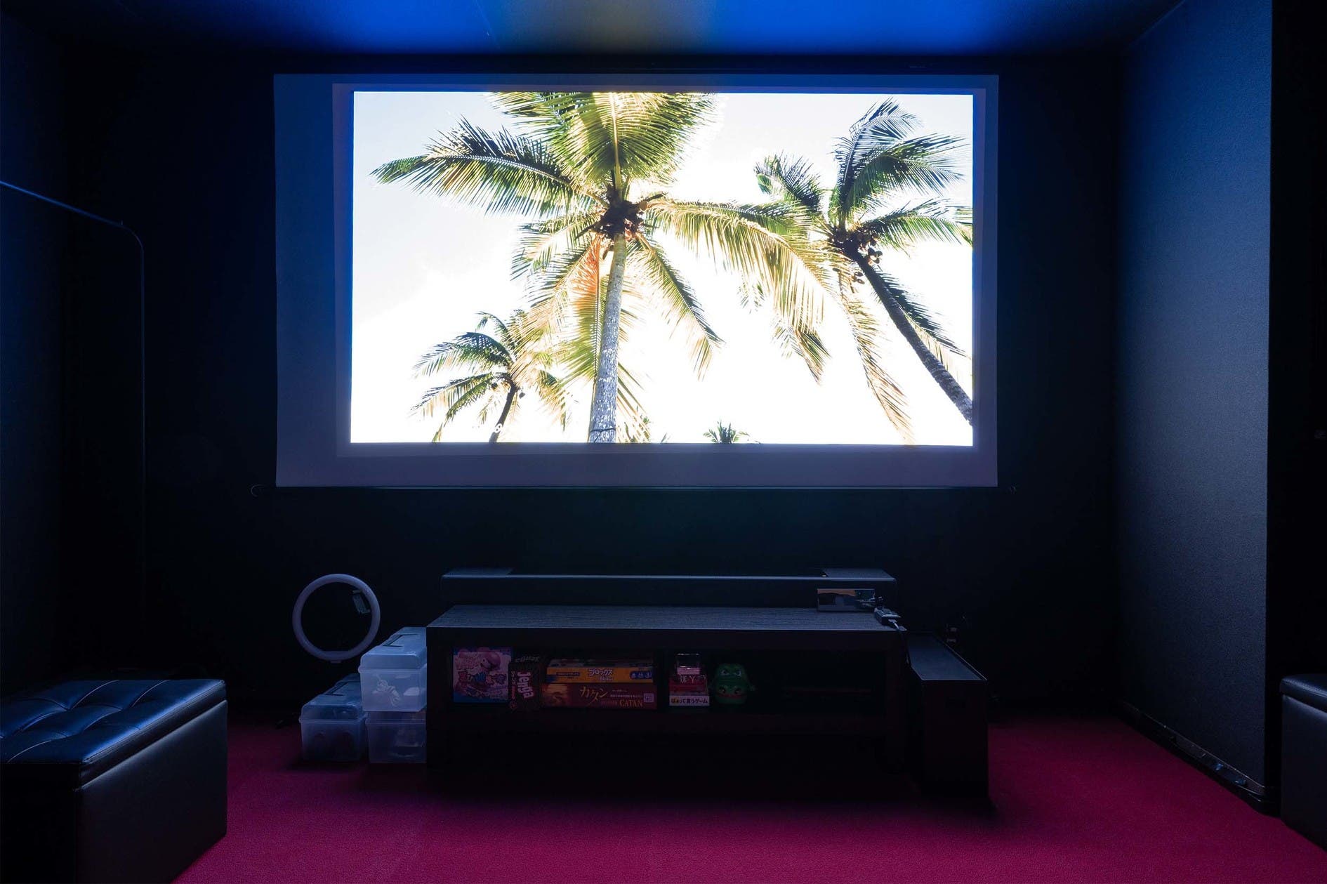 セレコレ🌳クリスマス☃️最大11名🉐ﾌﾟﾛｼﾞｪｸﾀ📽️映画🐈‍⬛デート💓ゲーム🎮女子会💗推し活🌟pricy渋谷の写真7