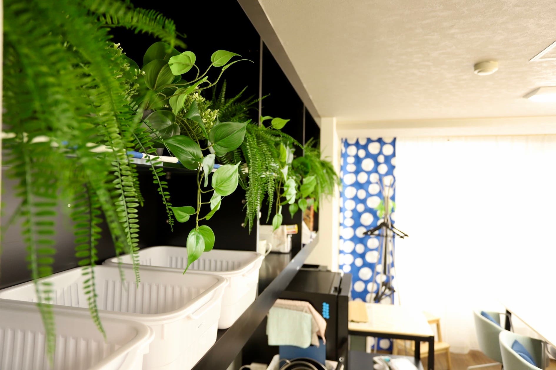 最大30名 会議室・イベント会場 飲酒🍺飲食🍚可 持込OK【会議・演奏会・同窓会・歓送迎会などに】の写真10