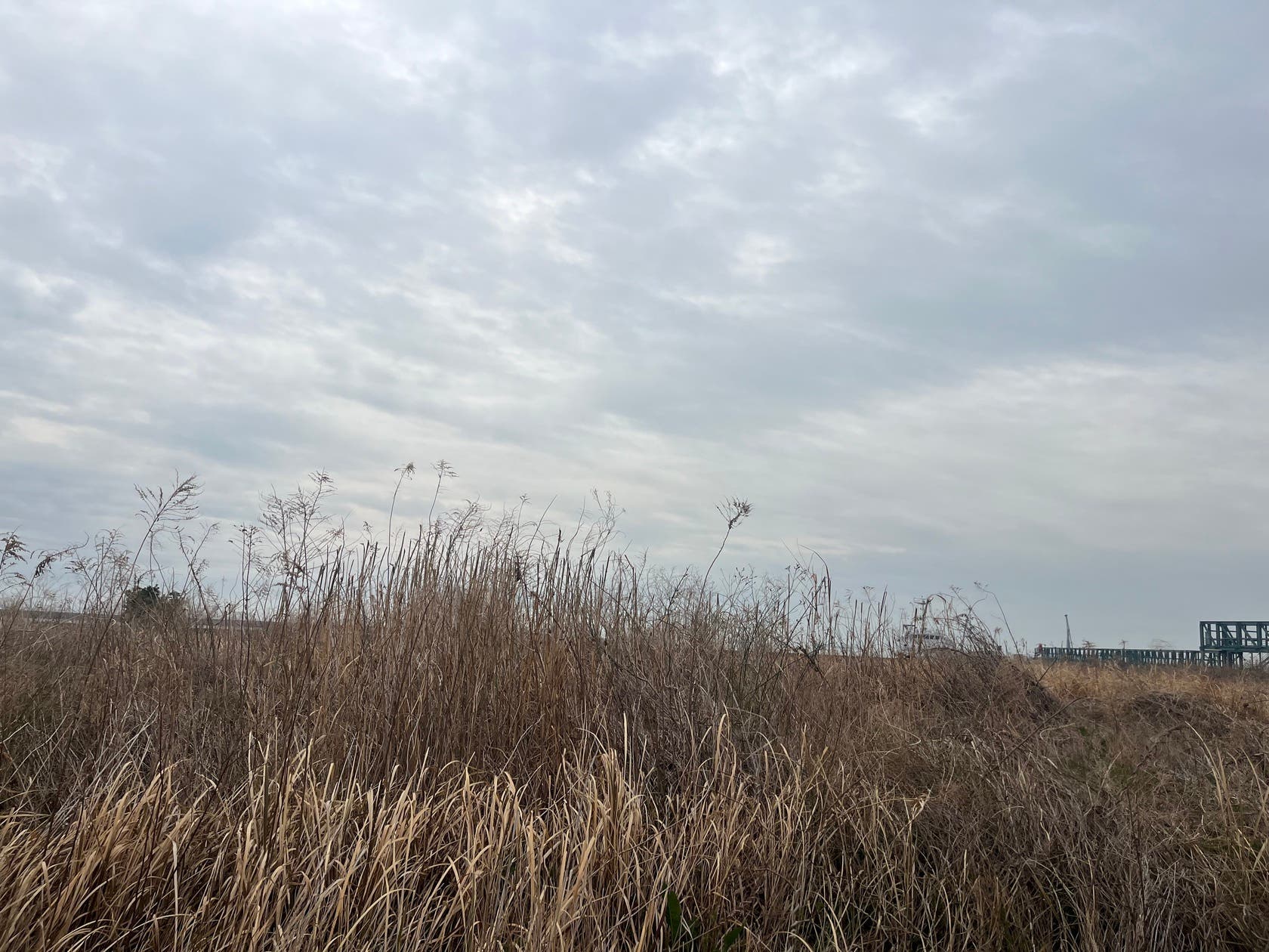 工業地域の景色や、工場内、草むらの写真5