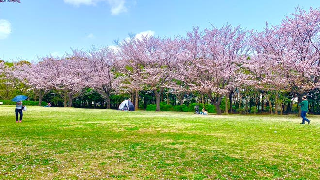 渋谷ハンズ前|🦌特別なクリスマスに🛷推し会・ママ会・誕生日・パーティー🎂🎉100 ㌅プロジェクター&おしゃべり会の写真28