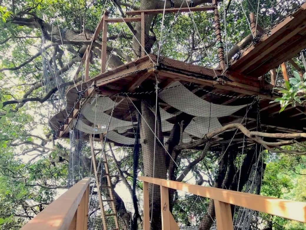 宝箱のようなユニークな一棟貸別荘／ハウススタジオの写真10