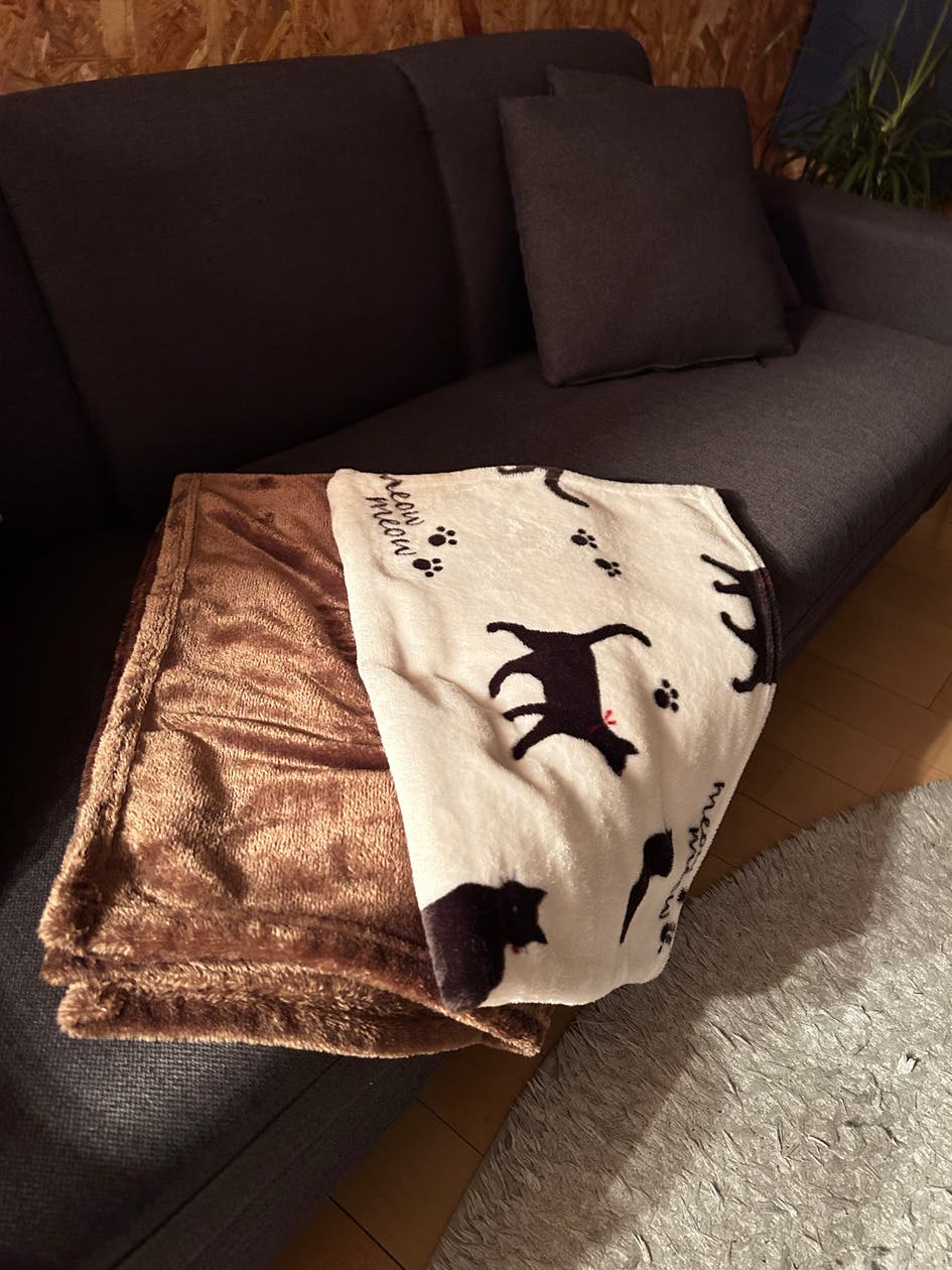 🎬上映会セットの画像2