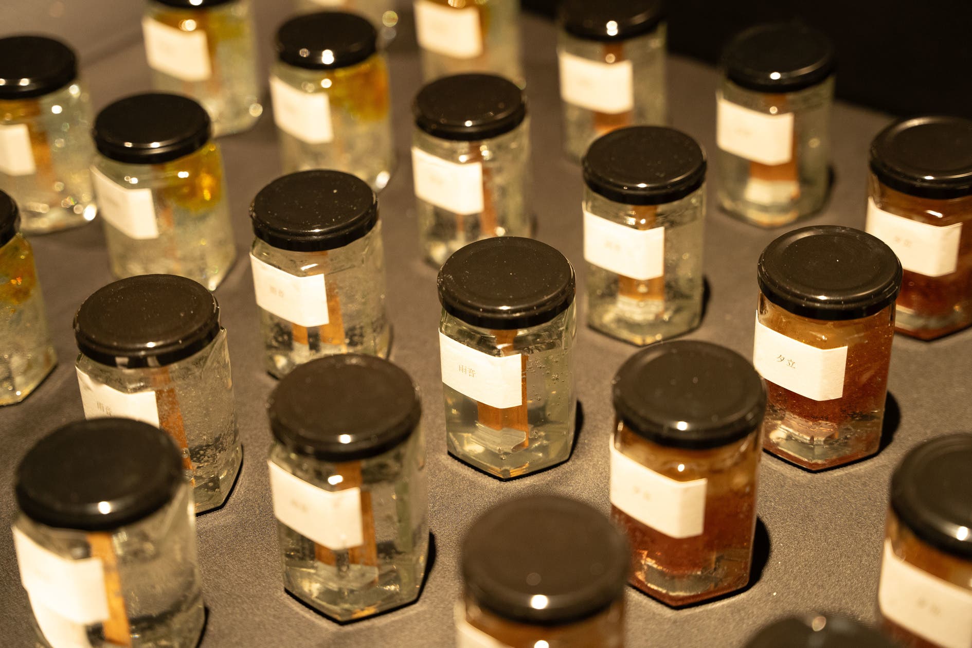 MIYASHITA PARK 徒歩2分！抜群の立地でビル一棟貸切 ポップアップストア / イベント✨の写真14