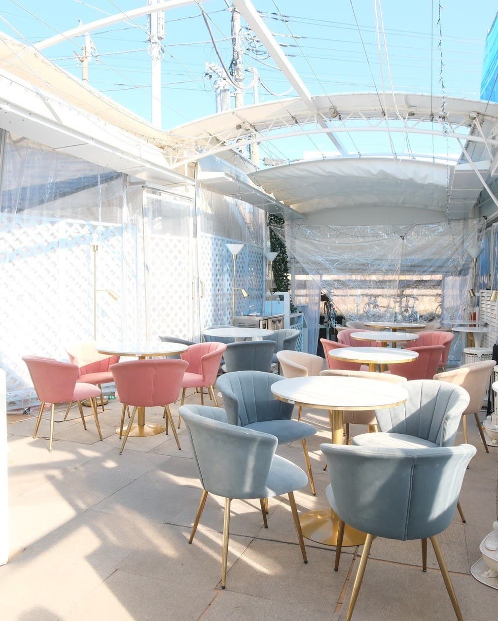 【鎌倉駅🚃徒歩2分🚶‍♀️】ワンちゃん🐶同伴OKの貸切パーティ・イベントスペース🎂💞の写真6