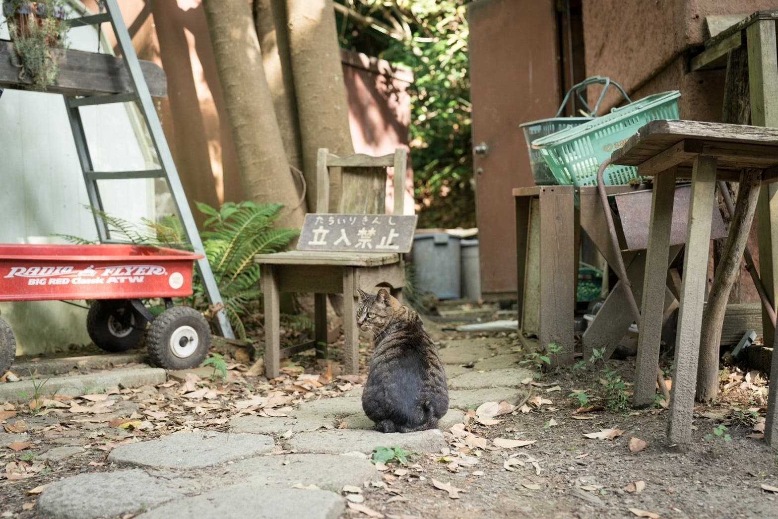 【手ぶらOK・10名～】森と山の間を貸し切ってBBQ！の写真7