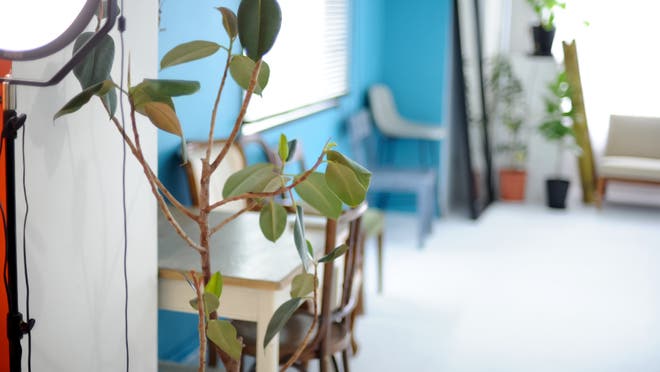 ヴィンテージビルの白壁&白床&色壁のレトロポップなスタジオの写真20