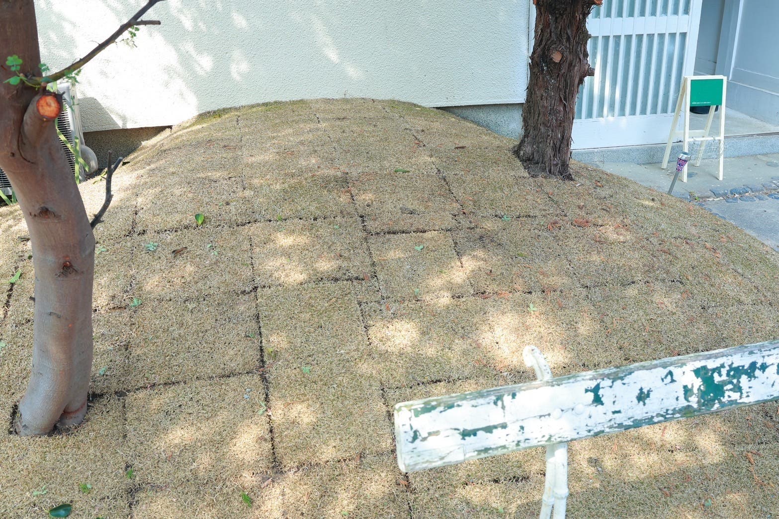 4/1～新ブースオープン！300㎡の広さが魅力の白基調のフォトスタジオ！の写真6