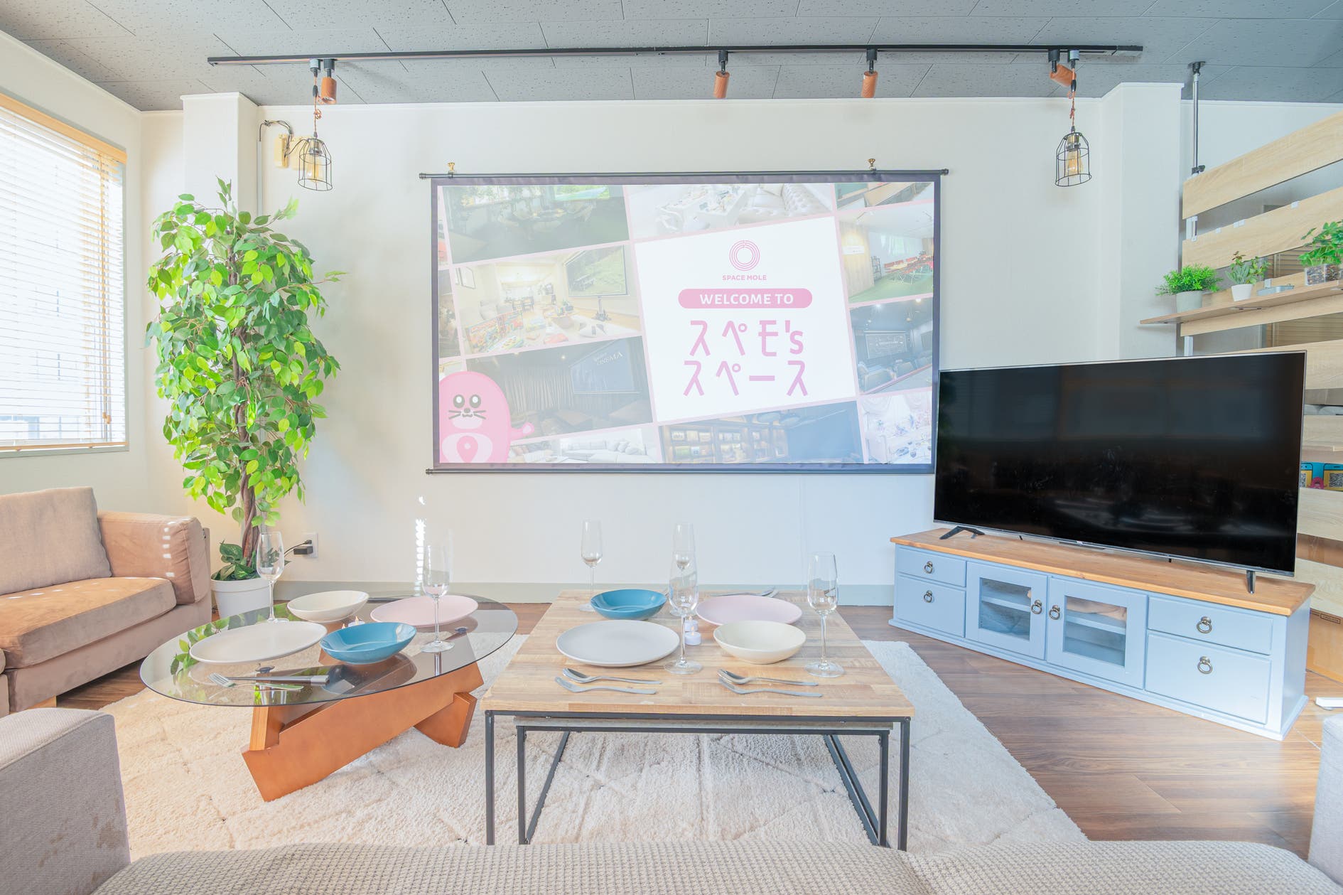 スペモ🌿クリスマス🎄歓送迎会🎊学割👨‍🎓スタジオ🌟100㌅🎥撮影🪞ママ会👶🏻405_Oasis新橋の写真5