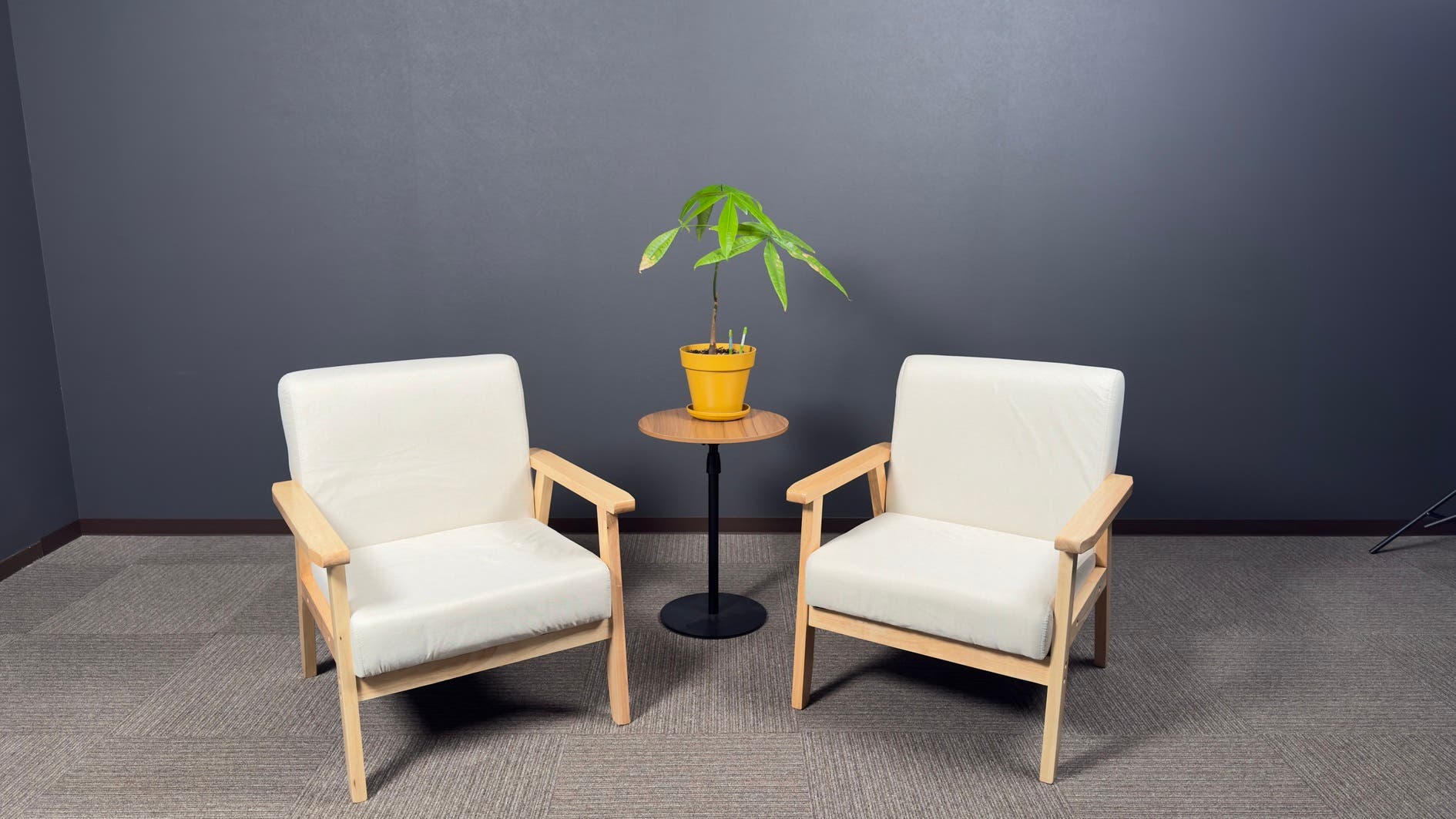 撮影のプロが常駐！初心者でも簡単に利用できる！虎ノ門駅から徒歩６分の撮影スタジオ！の写真6