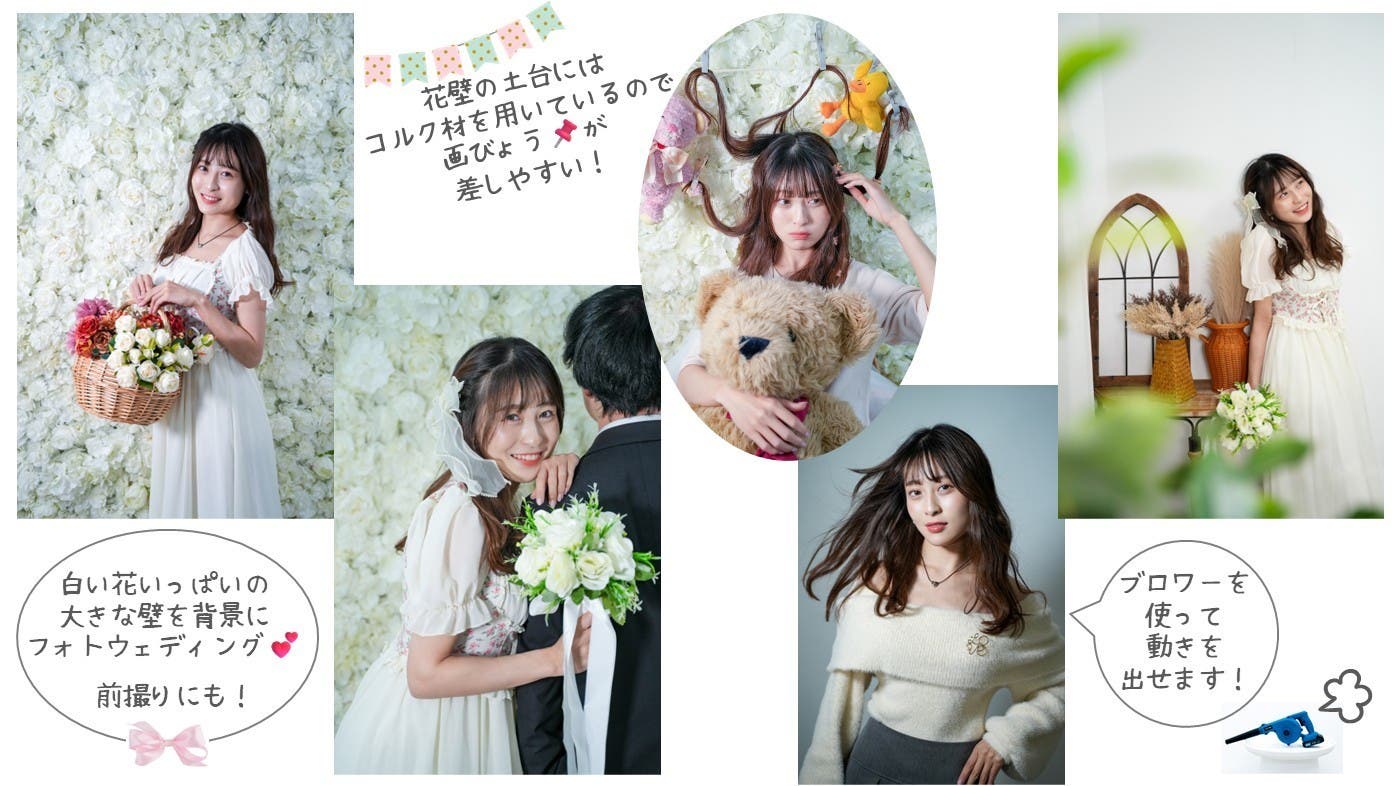 飯田橋駅2分｜自然光 × 二面採光 × アーチ × 白壁 × 植物｜24時間OK｜土足OKの写真8