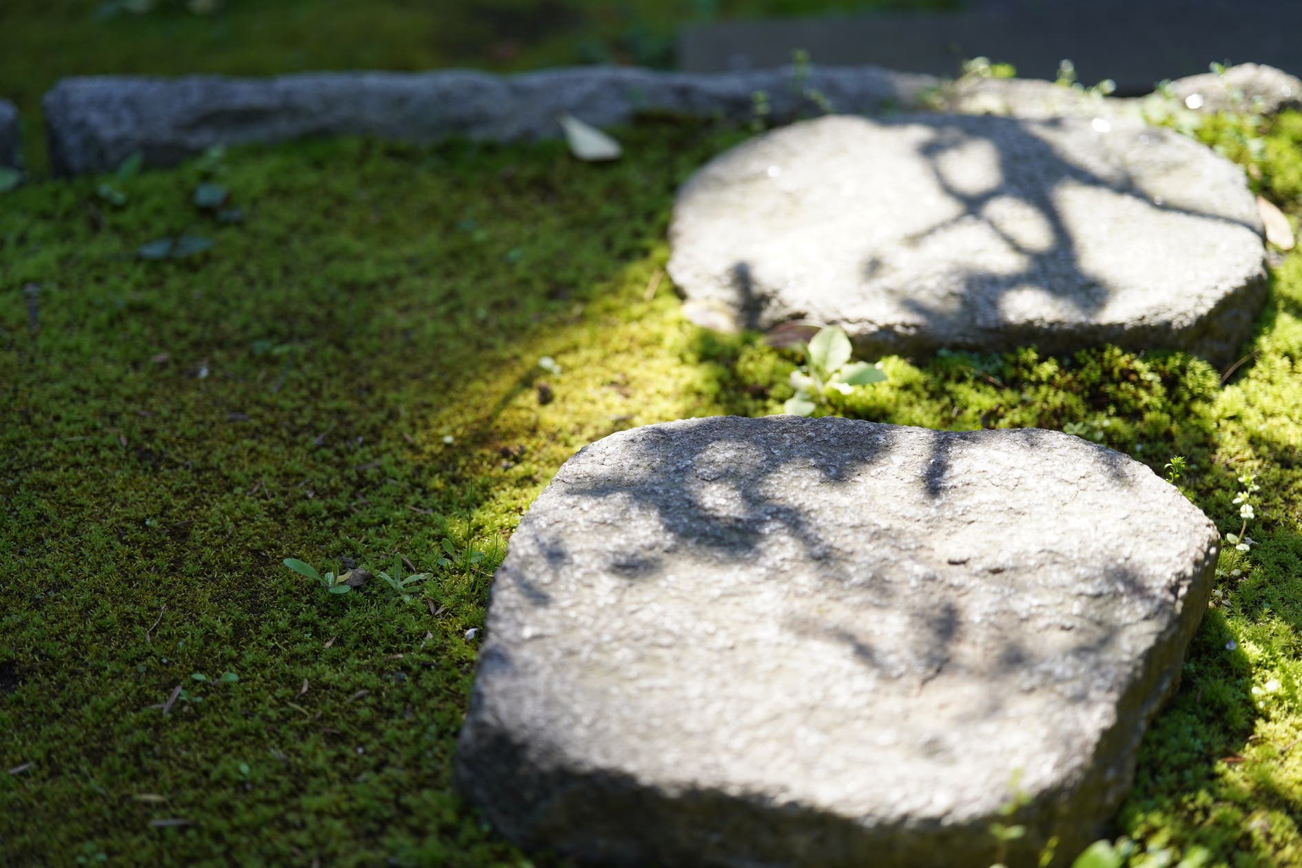 葛美亭｜和の茶室と庭園を貸切｜松戸駅西口徒歩5分の写真20