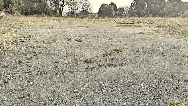 荒廃地【約1000坪】の写真4