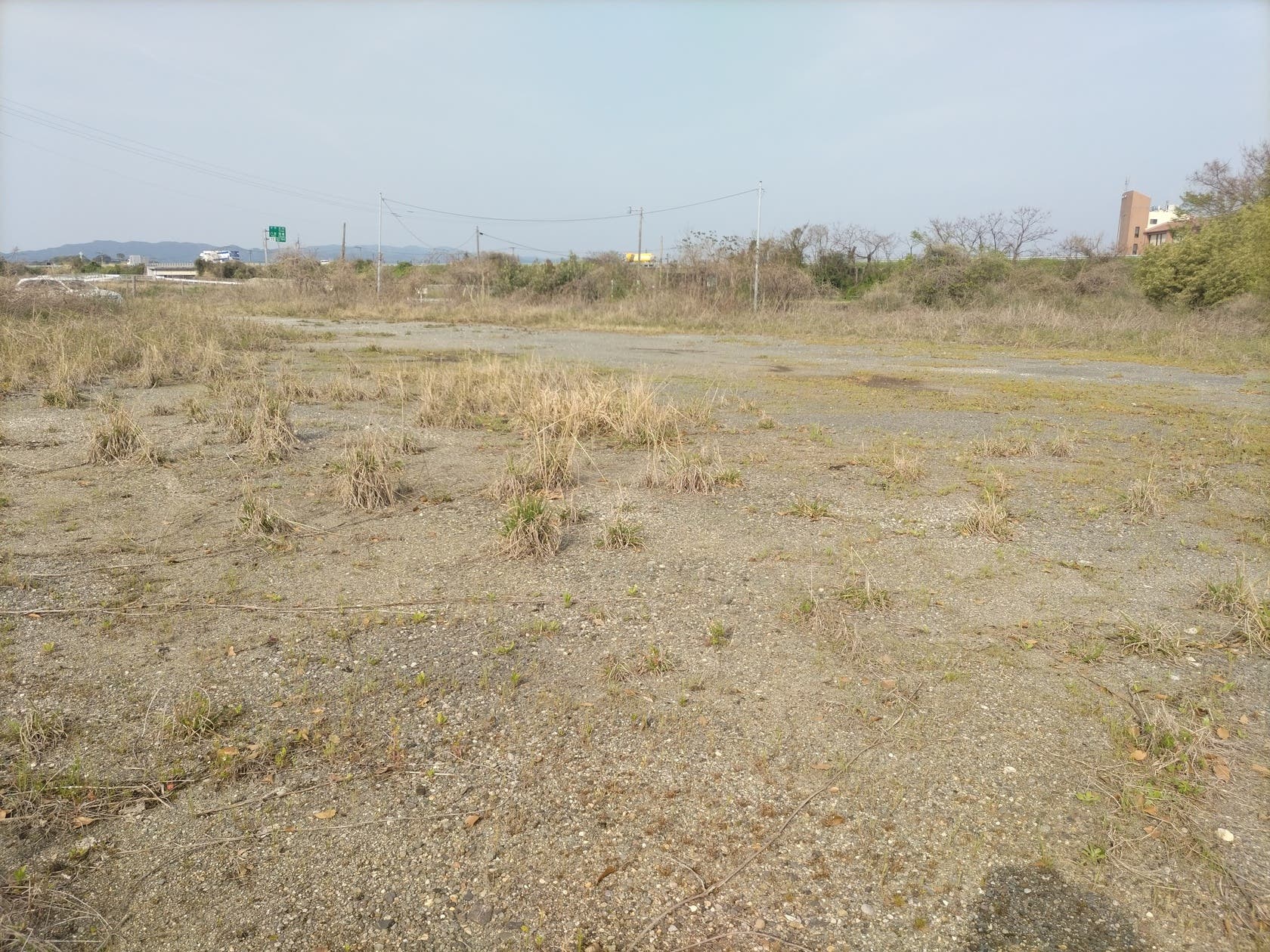 荒廃地【約1000坪】の写真3