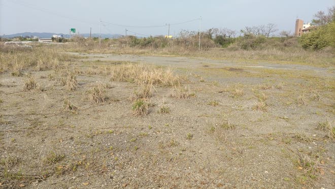 荒廃地【約1000坪】の写真3