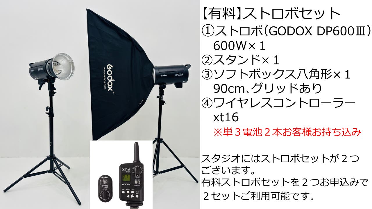 【有料】ストロボセットレンタルの画像1