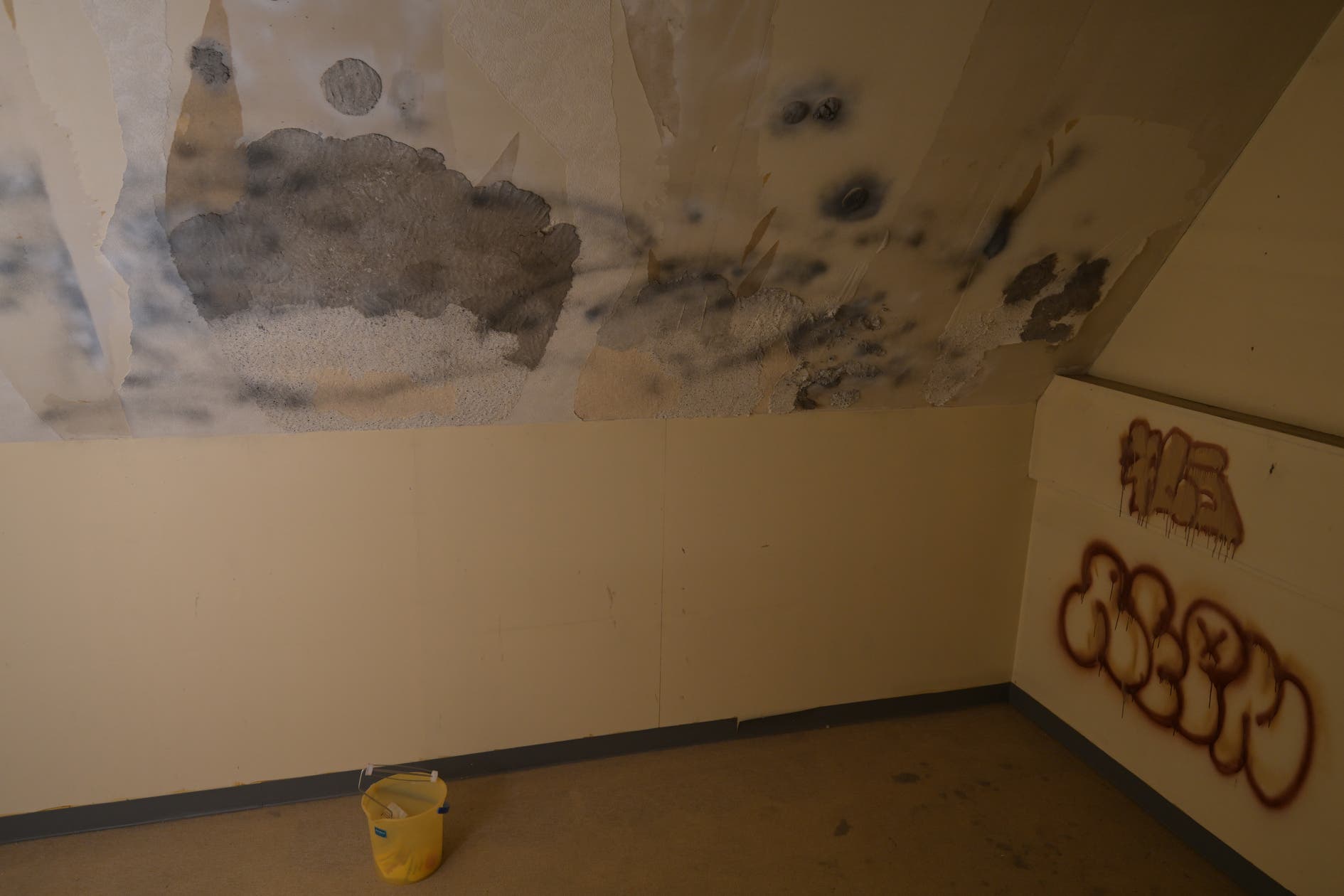 【元廃墟】骨董屋のガチ倉庫　多様なシチュエーションの撮影スペースです。の写真13