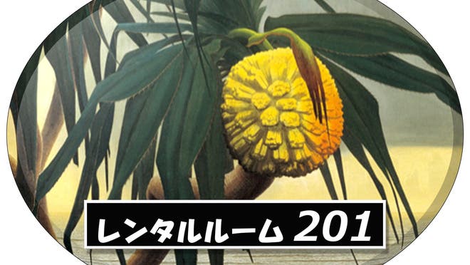 宝塚に新規オープン!宝塚大劇場から歩いて3分!女性限定!観劇前後の一休み、オフ会、ママ会等で、お気軽にご利用ください! の写真7