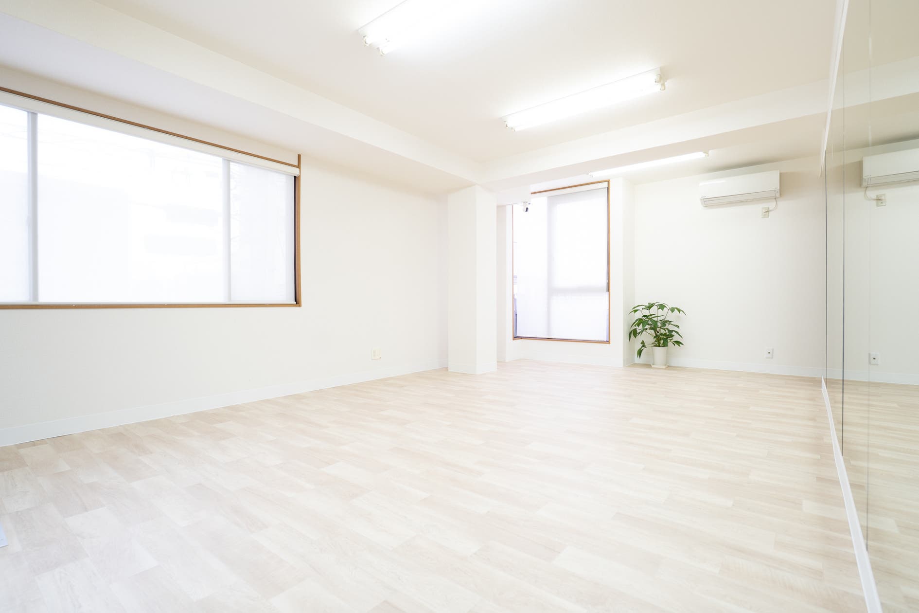 New🎊 平塚駅西口 徒歩 3分！明るく清潔な鏡張りスタジオの写真5