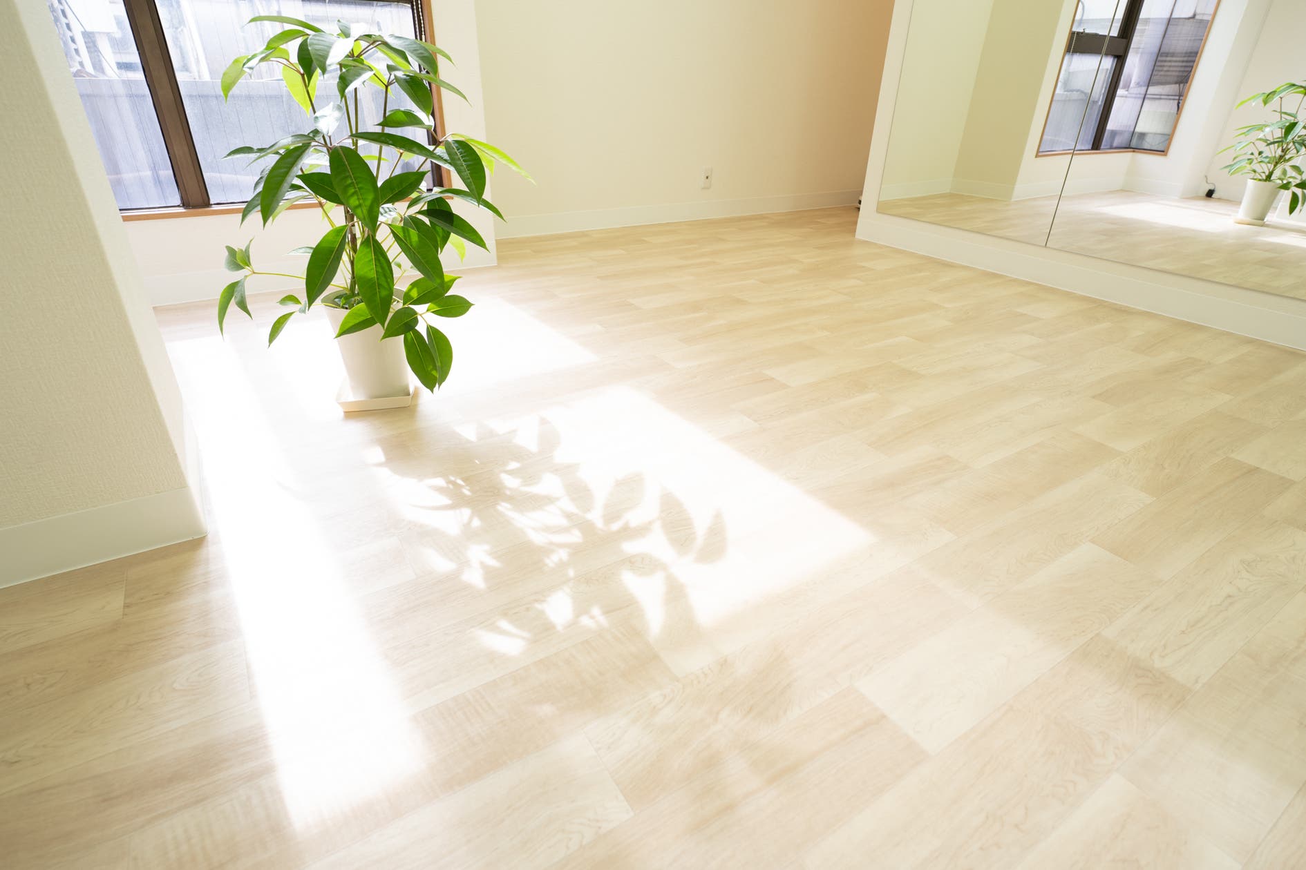 New🎊 平塚駅西口 徒歩 3分！明るく清潔な鏡張りスタジオの写真21