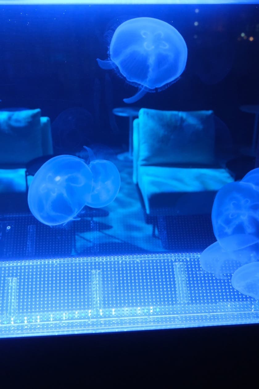 桜木町から徒歩6分の海月のいるイベントスペースの写真2