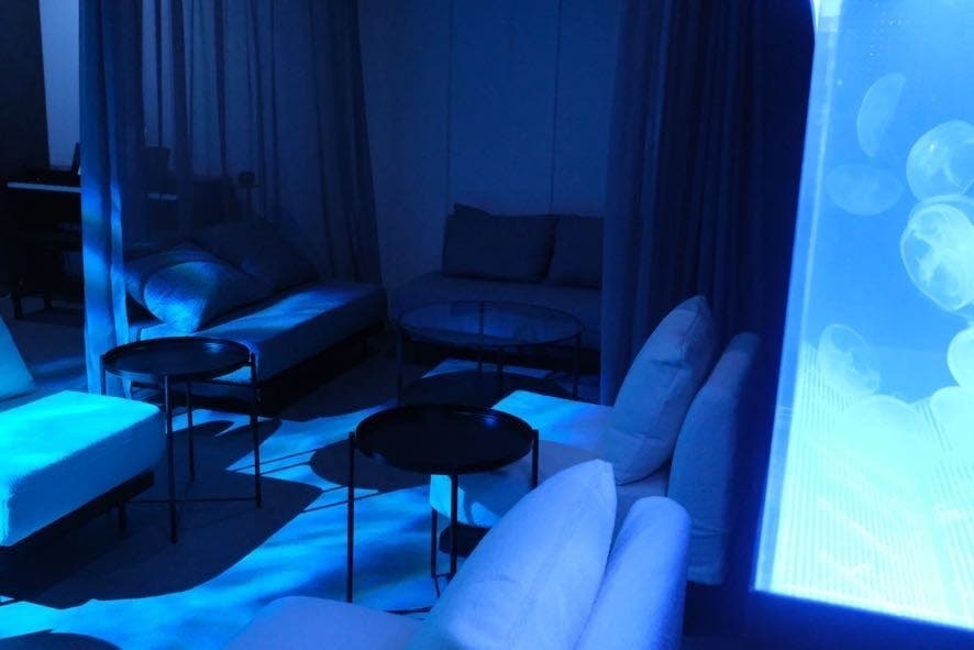 桜木町から徒歩6分の海月のいるイベントスペースの写真3