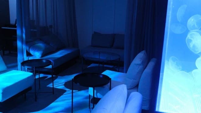 桜木町から徒歩6分の海月のいるイベントスペースの写真3