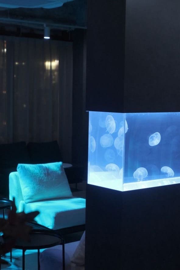 桜木町から徒歩6分の海月のいるイベントスペースの写真8