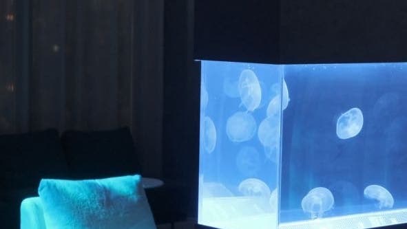 桜木町から徒歩6分の海月のいるイベントスペースの写真8