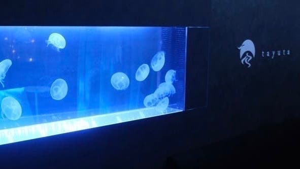 桜木町から徒歩6分の海月のいるイベントスペースの写真9