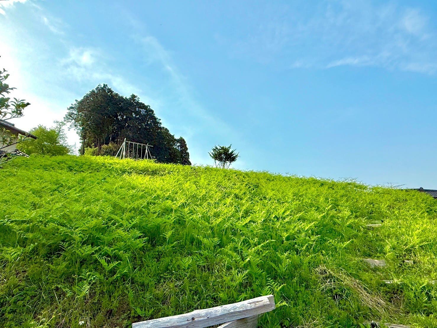 25年5月NewOPEN　自然と癒しの完全貸切古民家｜家族・ペット連れ歓迎のアウトドア＆くつろぎ空間の写真3