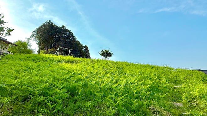 25年5月NewOPEN 自然と癒しの完全貸切古民家|家族・ペット連れ歓迎のアウトドア&くつろぎ空間の写真3