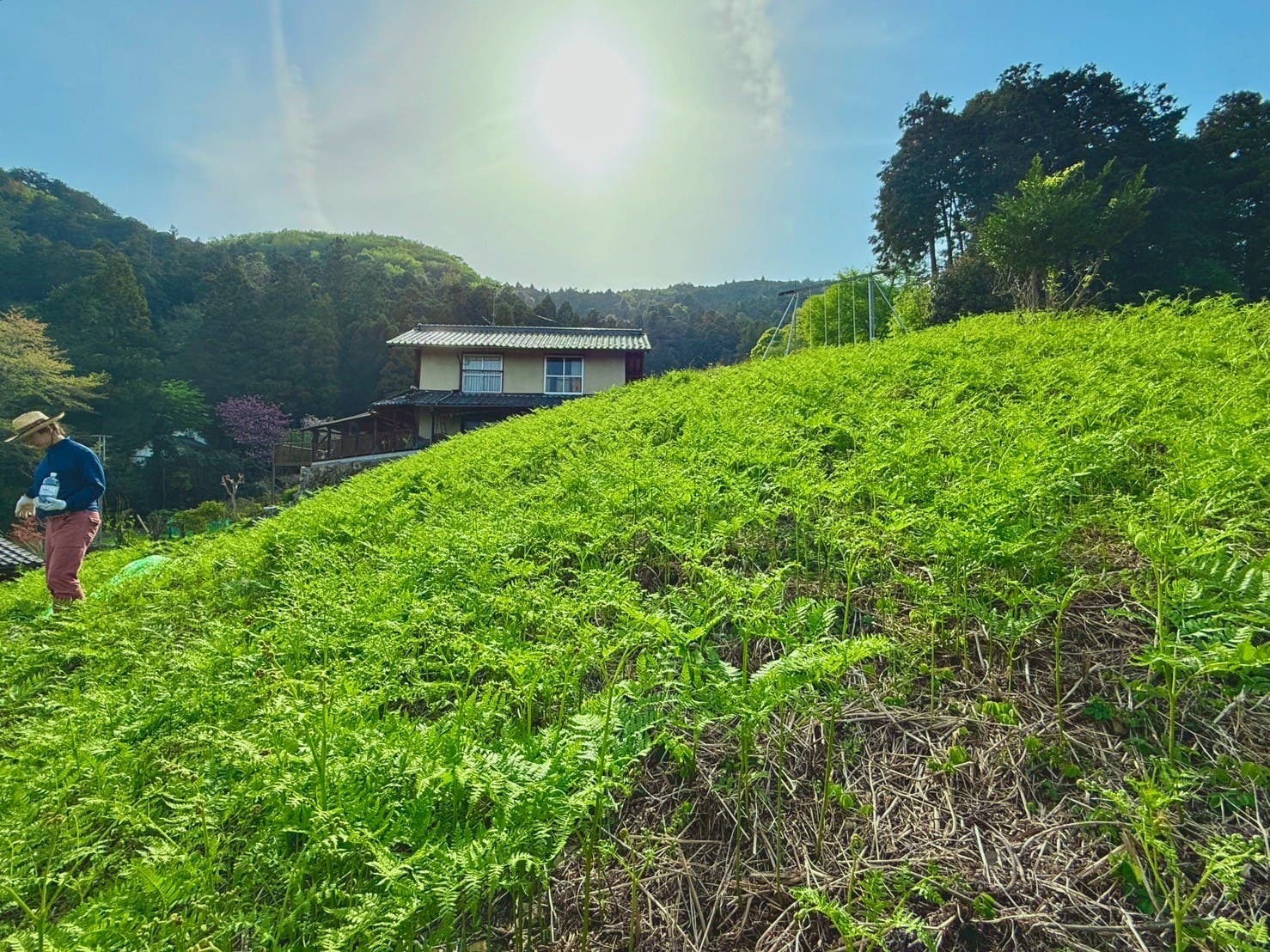 25年5月NewOPEN　自然と癒しの完全貸切古民家｜家族・ペット連れ歓迎のアウトドア＆くつろぎ空間の写真10