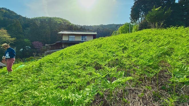 25年5月NewOPEN 自然と癒しの完全貸切古民家|家族・ペット連れ歓迎のアウトドア&くつろぎ空間の写真10