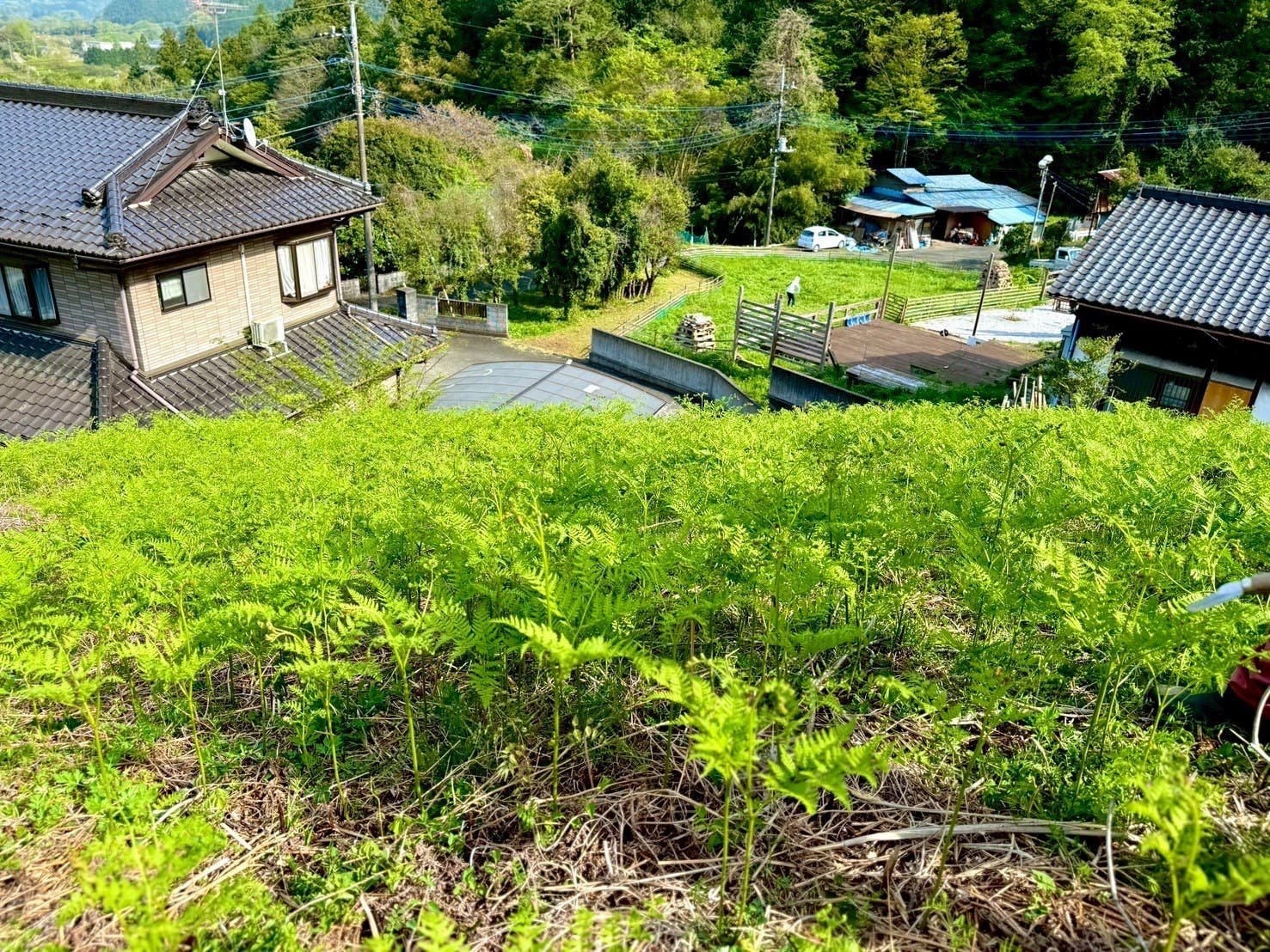 25年5月NewOPEN　自然と癒しの完全貸切古民家｜家族・ペット連れ歓迎のアウトドア＆くつろぎ空間の写真25