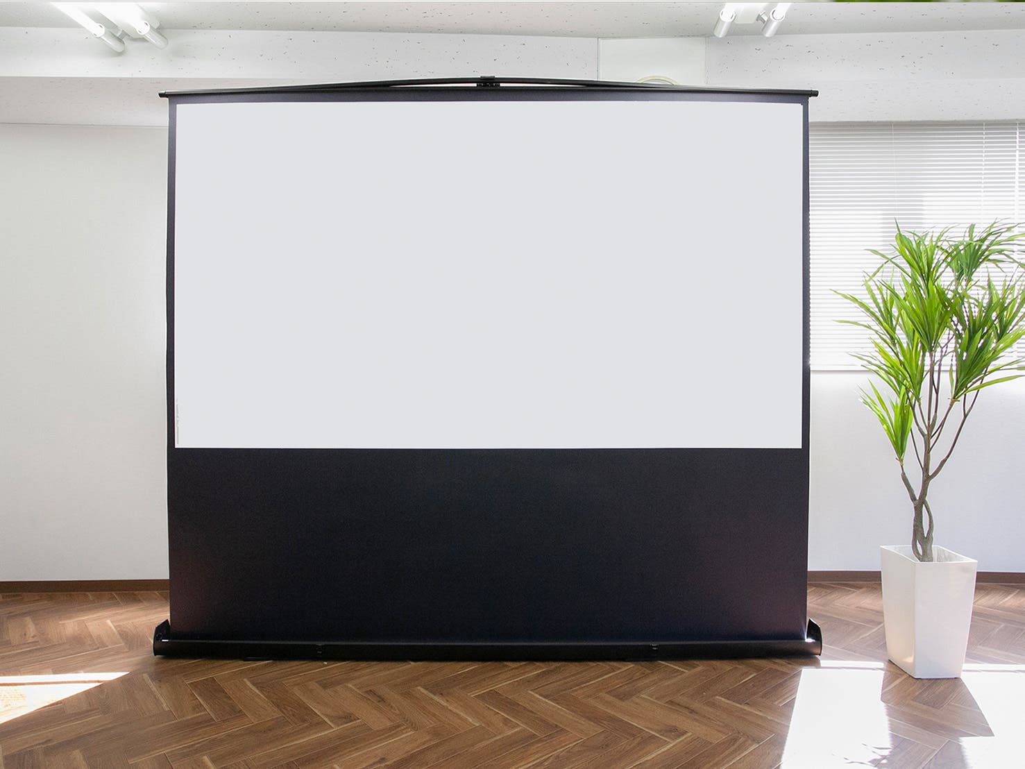 🍃2025年4月NEWOPEN✨宇都宮駅5分/高速光回線/最大44名/ビジネス/懇親会/施術/ボドゲ/セミナーにも最適の写真15