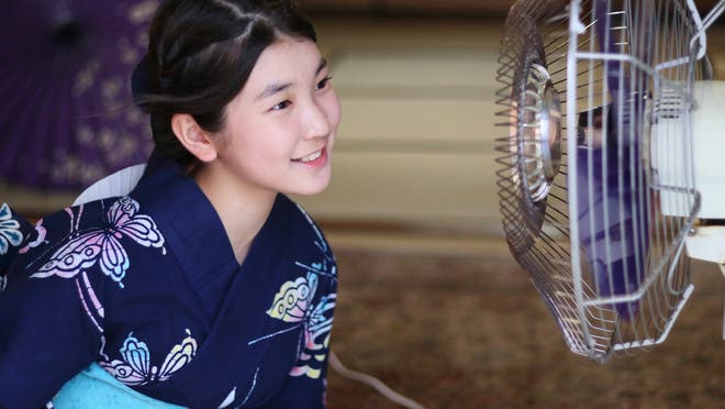 都会の美しい古民家🏡着物撮影、TV撮影、歓送迎会、寝転びながら和室でたまにはパーティの写真2