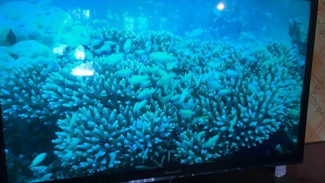 【東京 東陽町】落ち着いた雰囲気の個室で会議・打ち合わせや宴会に!201の写真5